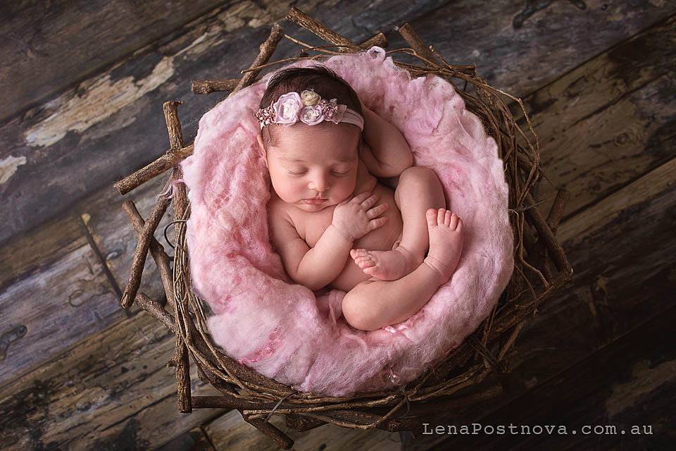 Baby Portrait Photography - Newborn Photoshoot Sydney